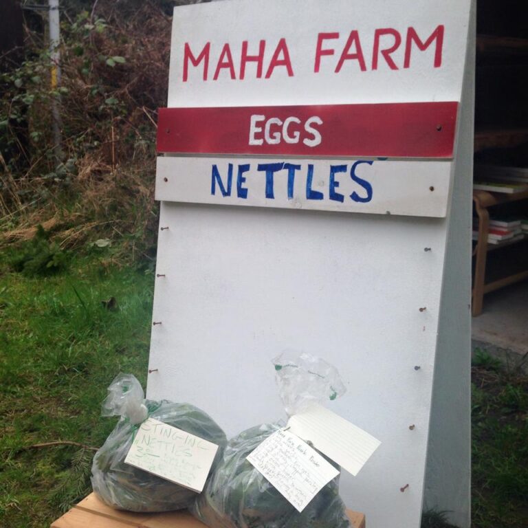 Whidbey & Camano Farm Stands – Enjoy local food grown and raised right ...